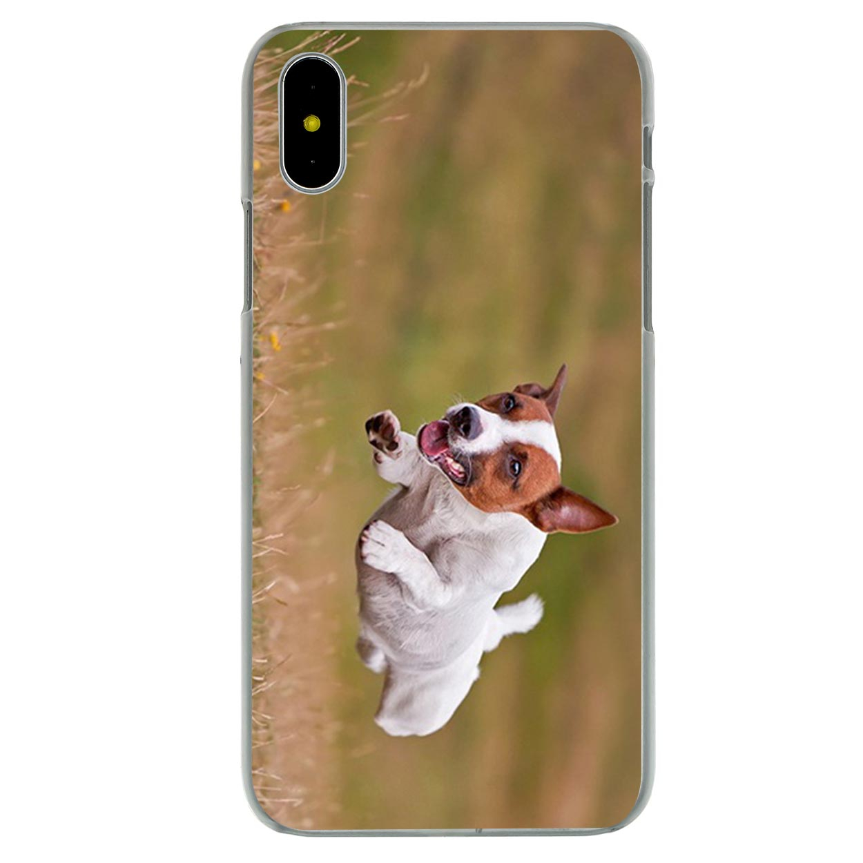Jack Russell Terrier Iphone Hard Case Cover